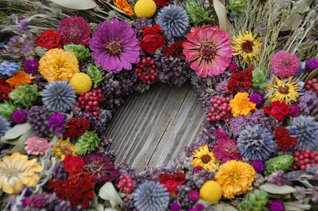 How to Dry Zinnias | Gardenshapers